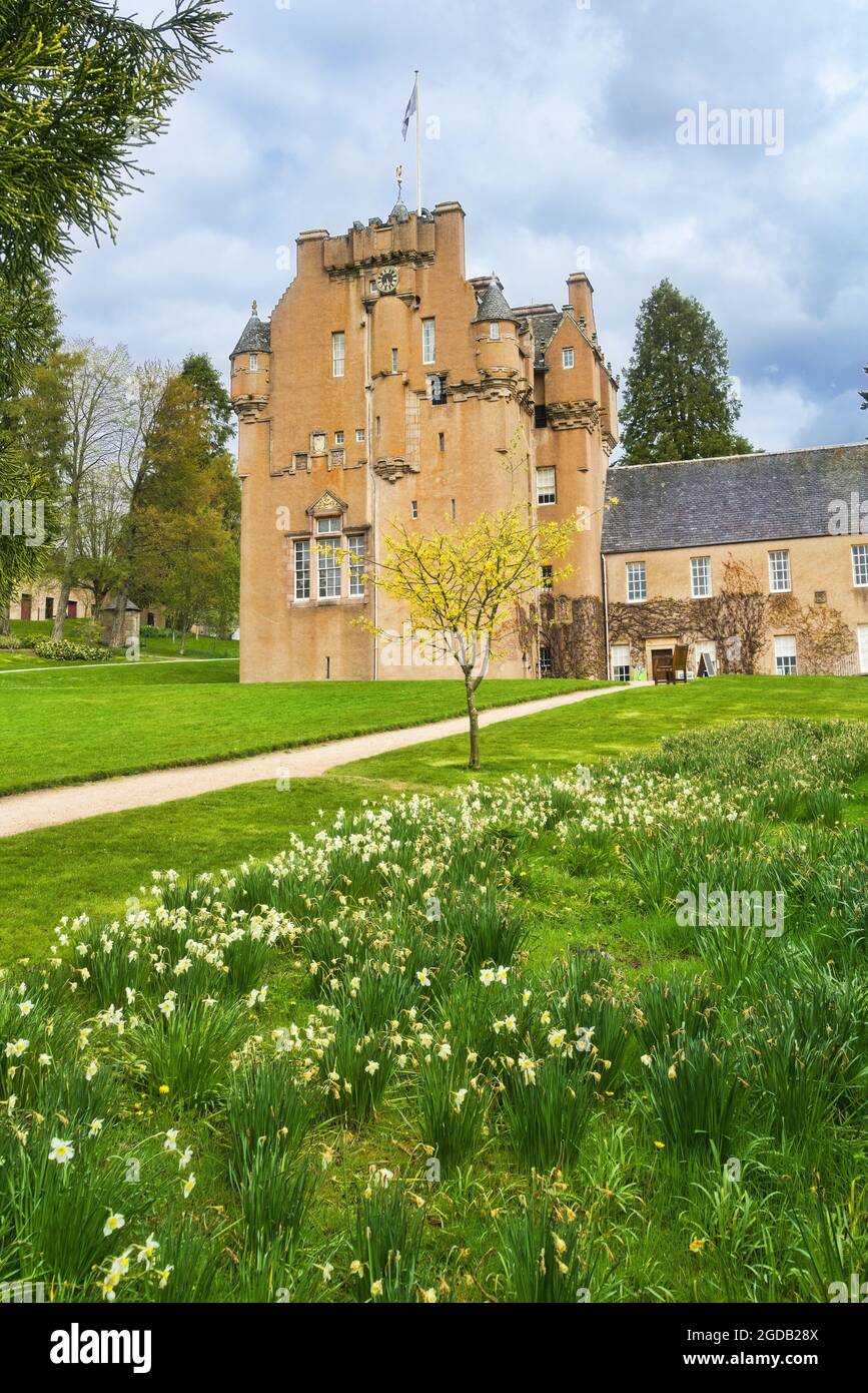 Spring colours Royal Deeside, Crathes Castle Royal Deeside, daffodils ...