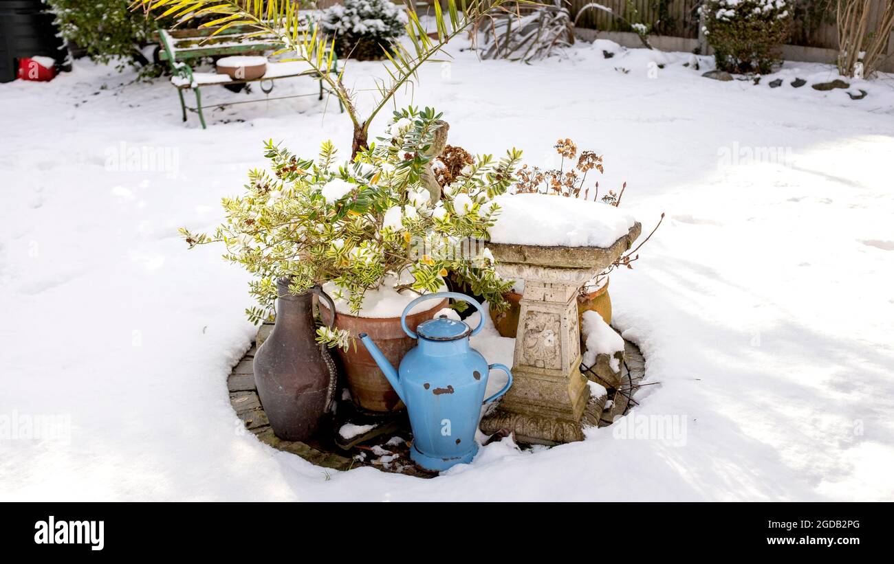A garden covered in snow with plant pots Stock Photo - Alamy