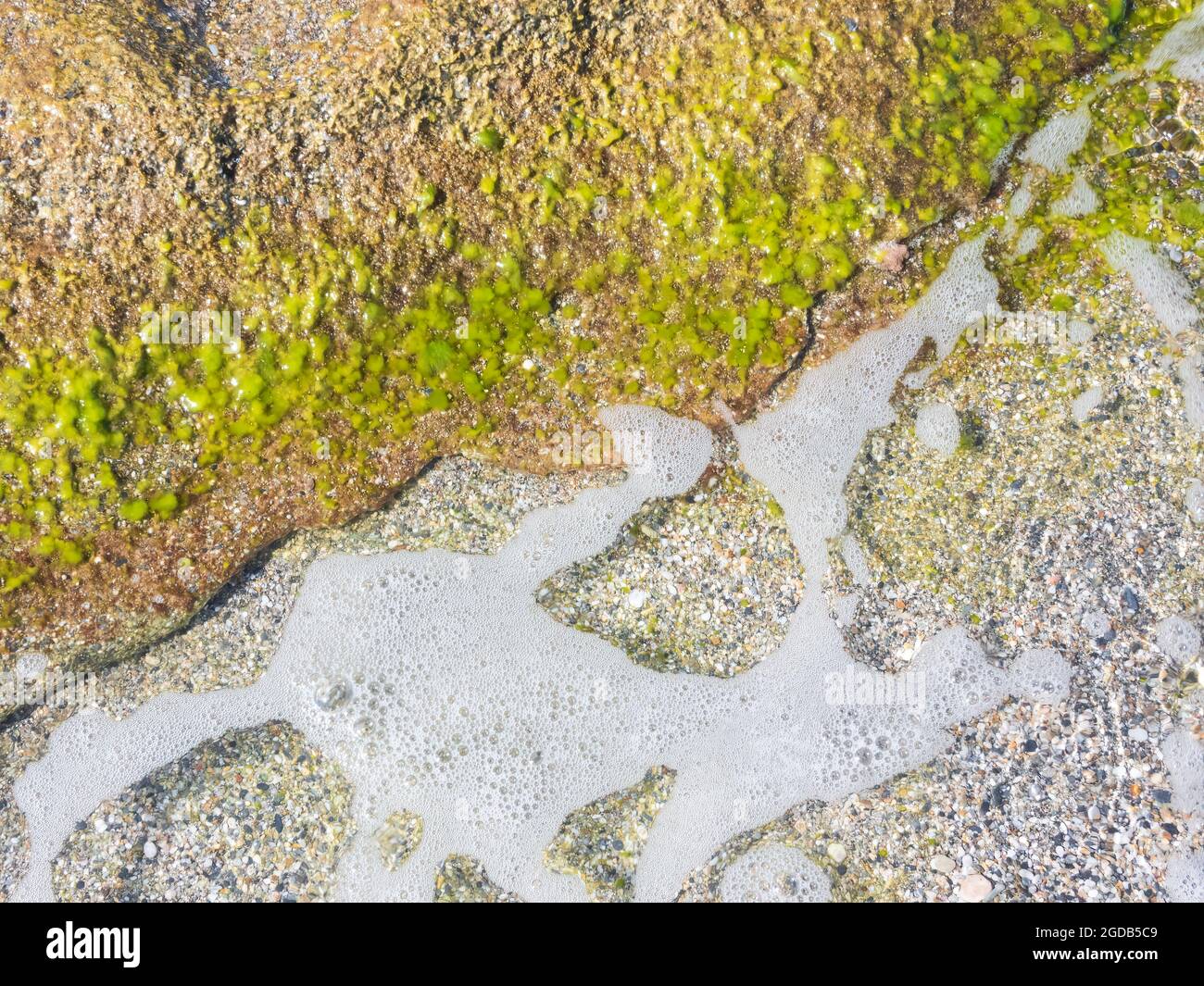 Sea water with foam and slippery green algae on a rocky shore Stock ...