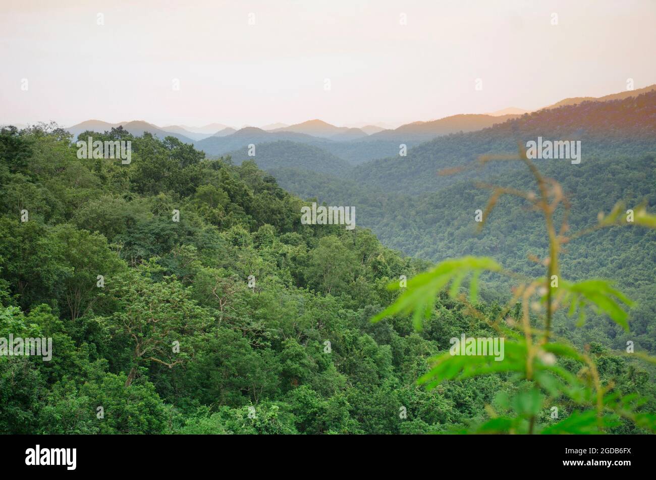 Odisha scenery hi-res stock photography and images - Alamy