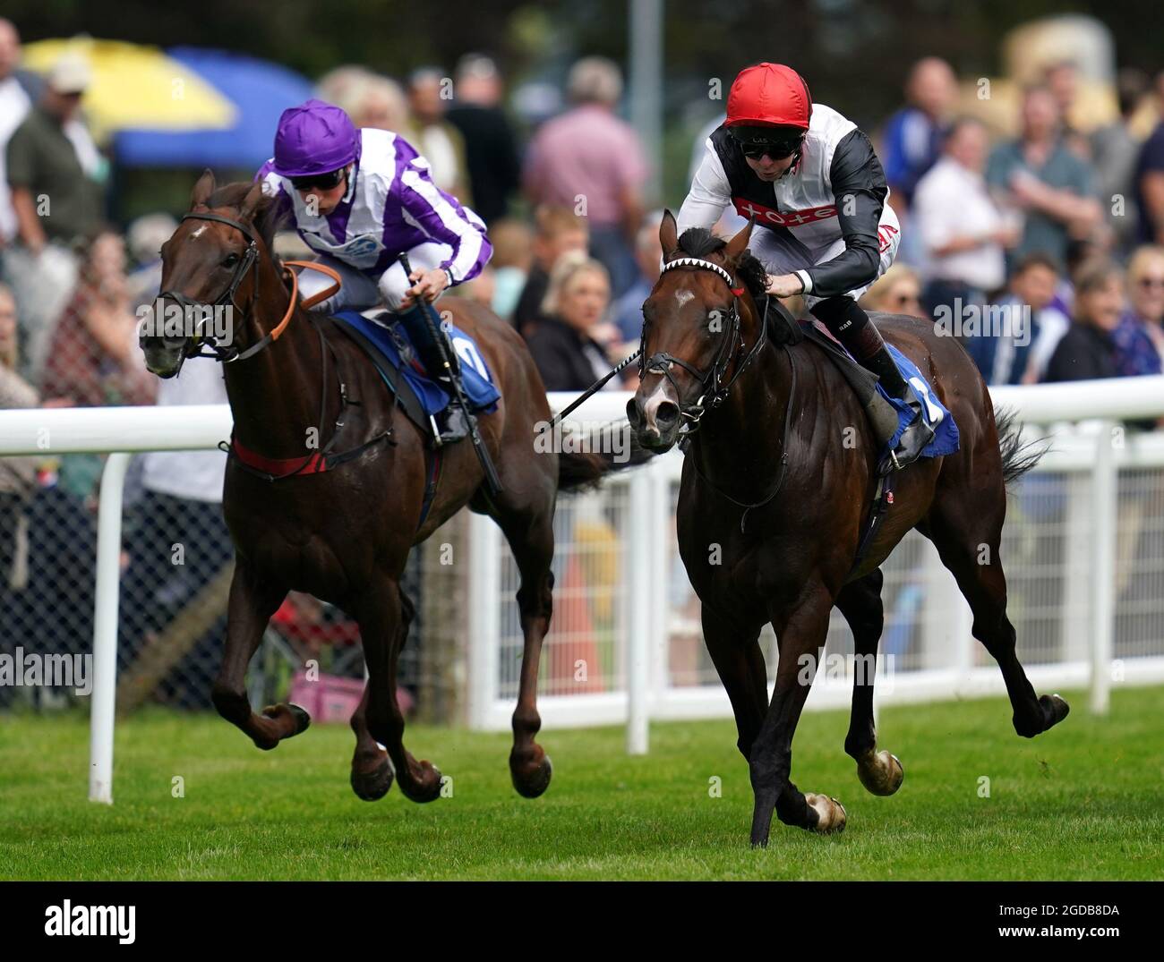 Robert Havlin riding Megallan (right) on their way to winning the D & N ...
