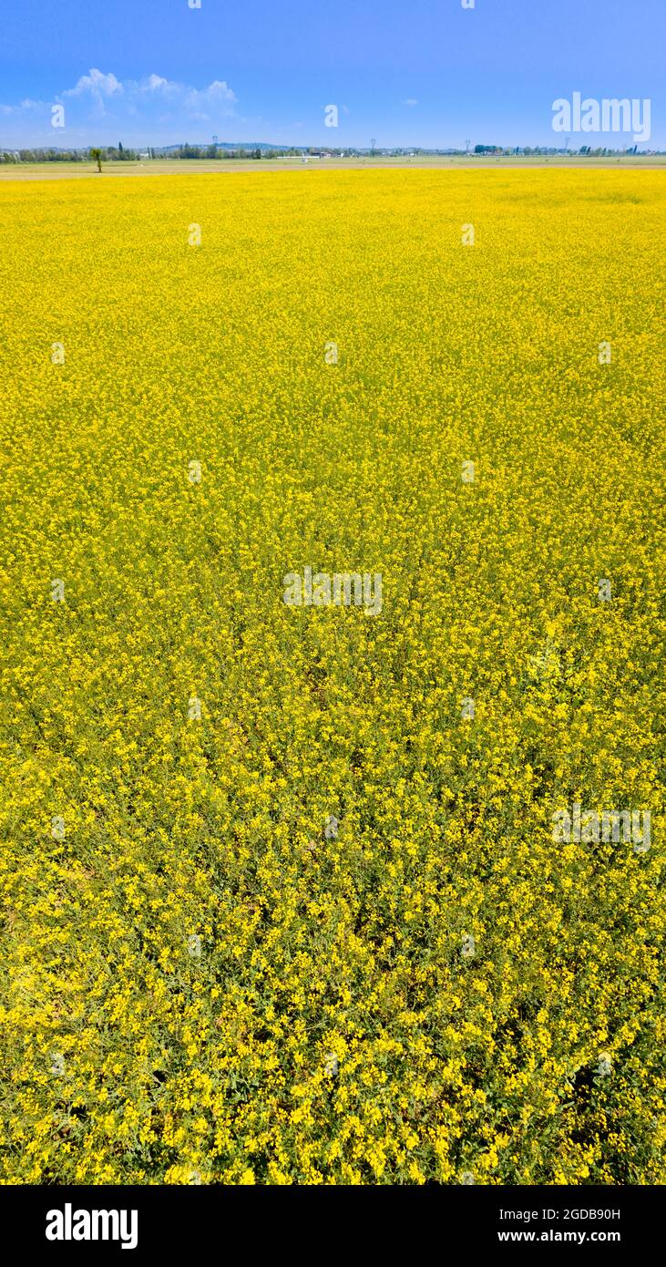 Aerial drone overhead oil field hi-res stock photography and images - Alamy