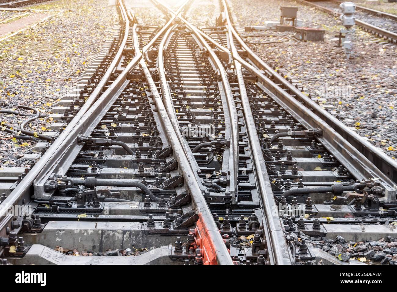 Divarication hi-res stock photography and images - Alamy