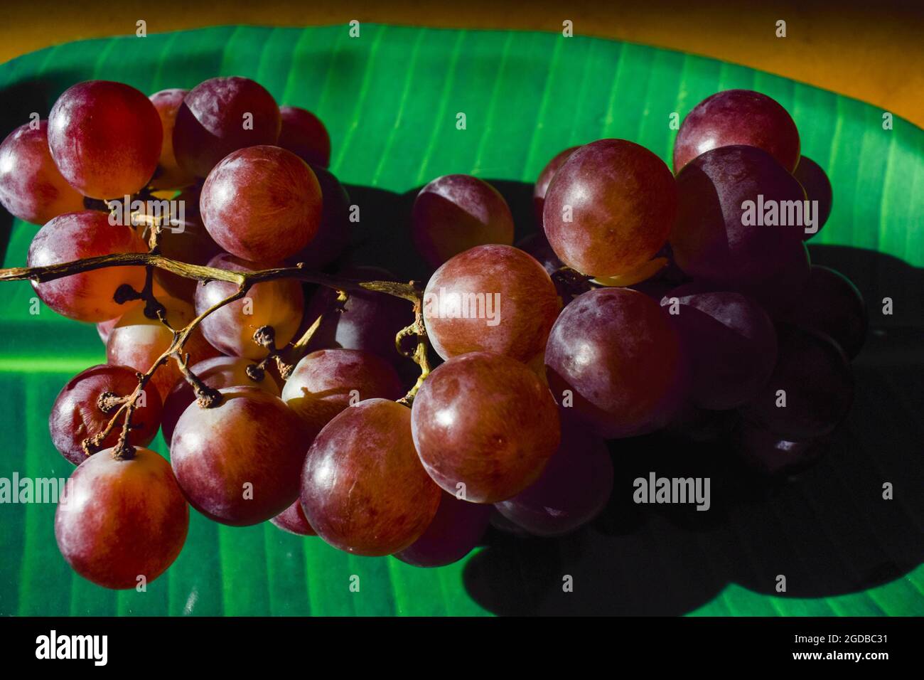 Red grapes sweet delicious fruits. Bunch of big red organic grapes on ...