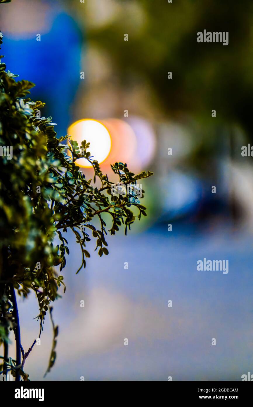 Beauty beautiful delightful hi-res stock photography and images - Alamy