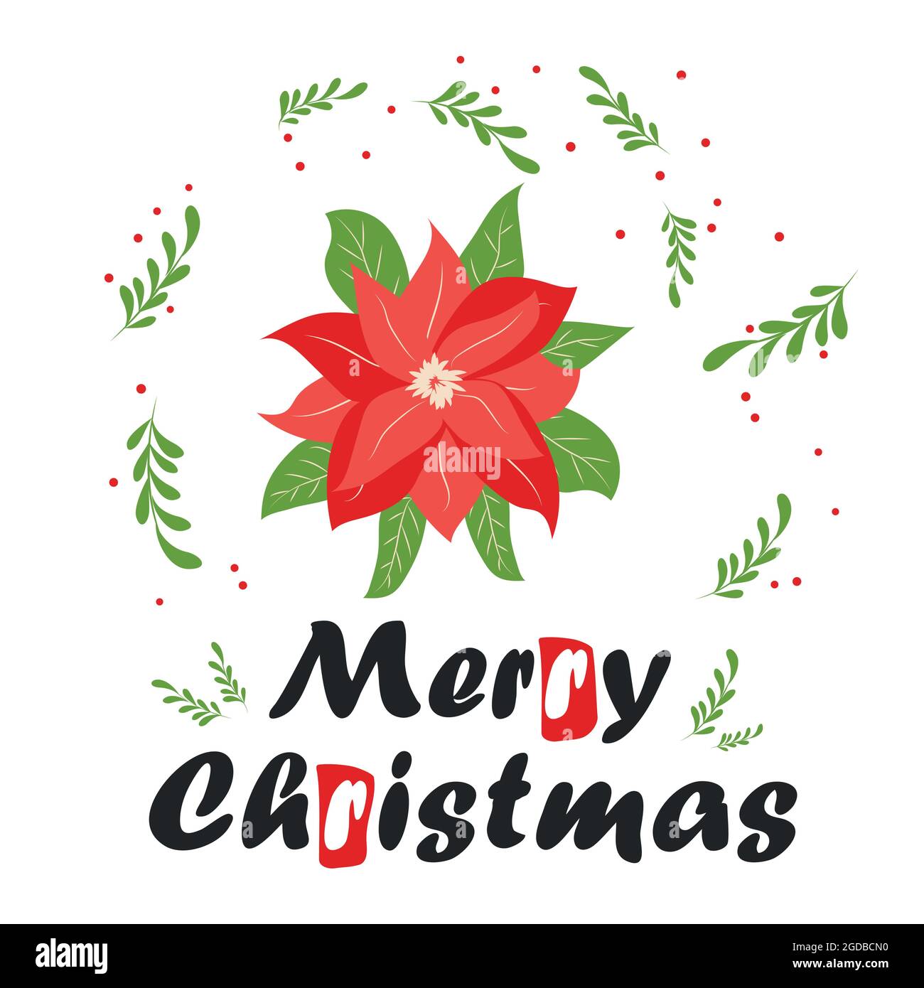 Traditional Christmas poinsettia flower with green leaves and red ...