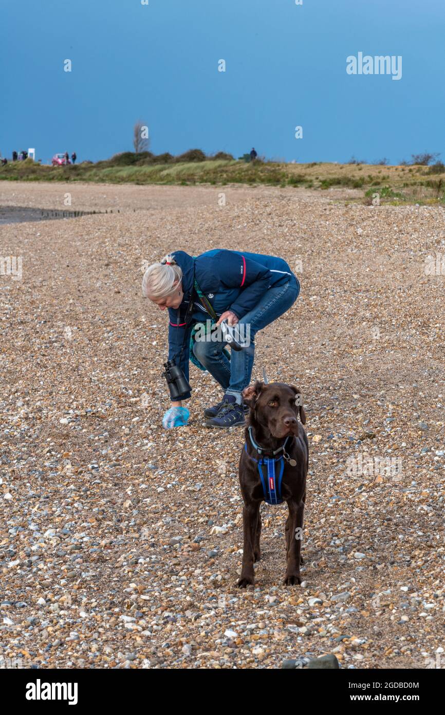woman picking up dog droppings, lady clearing up dog mess, dog poo on ...