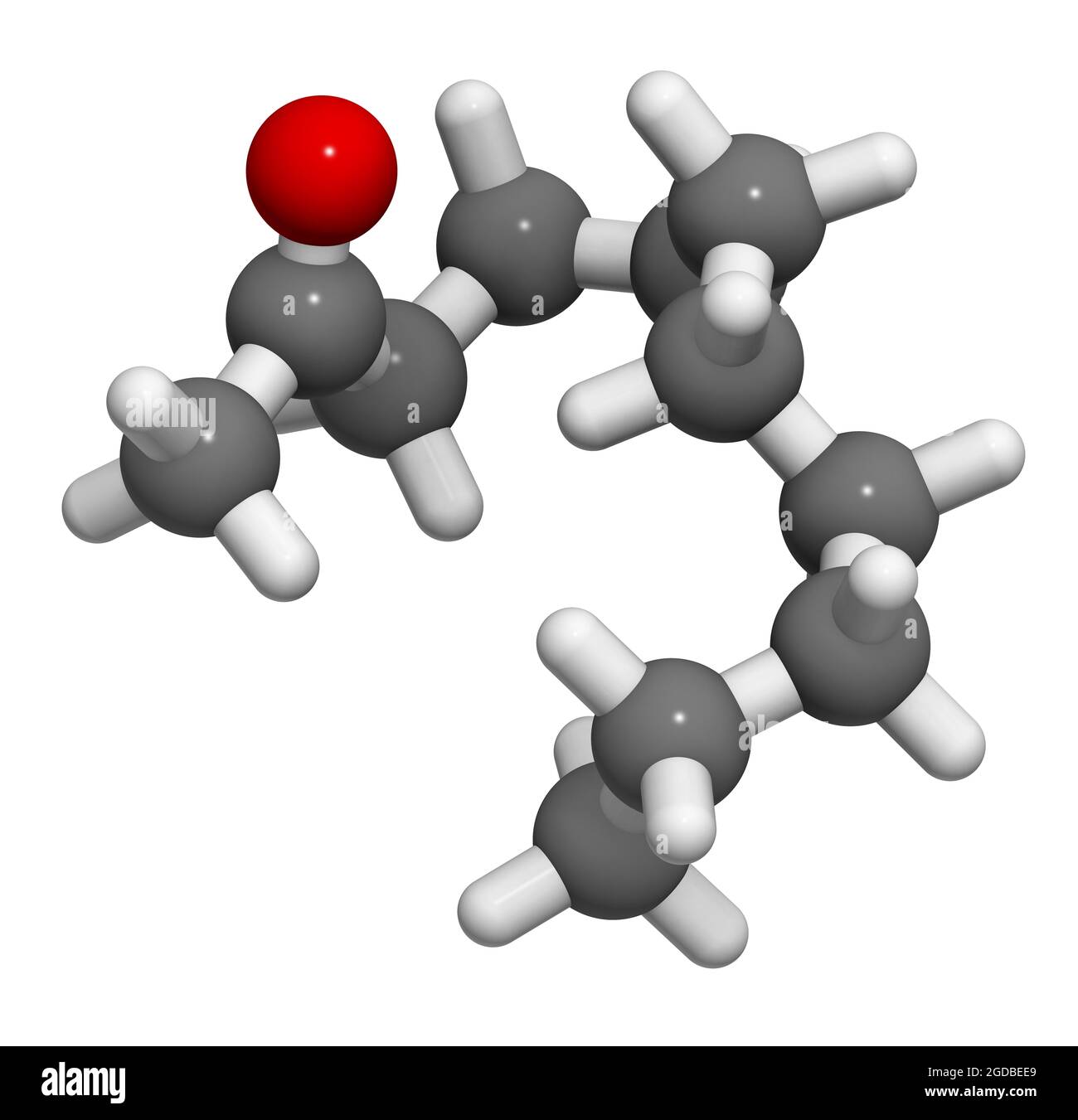 Methyl nonyl ketone (2-undecanone) insect repellent molecule. 3D ...