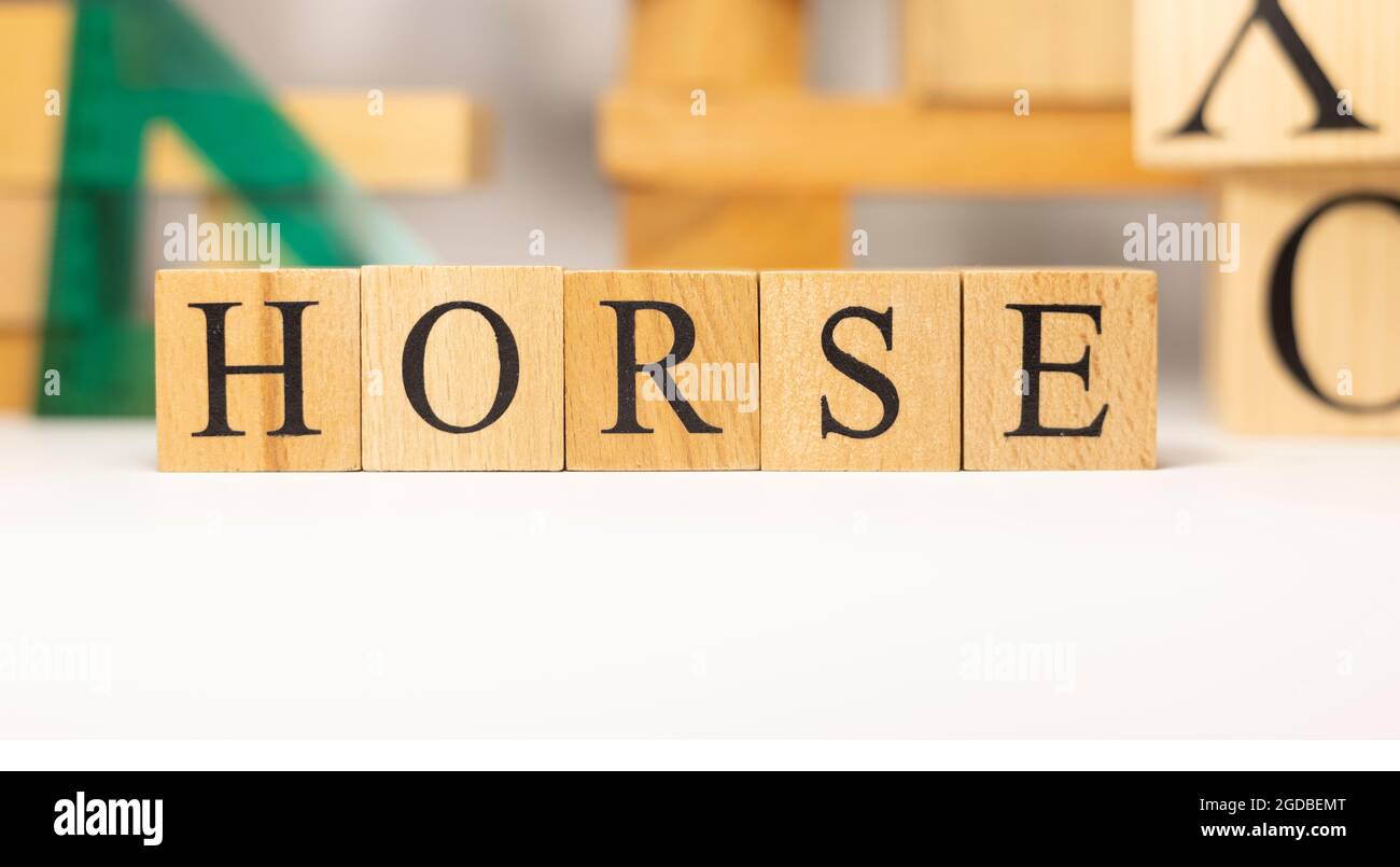 Rider saddle tokyo olympics hi-res stock photography and images - Alamy