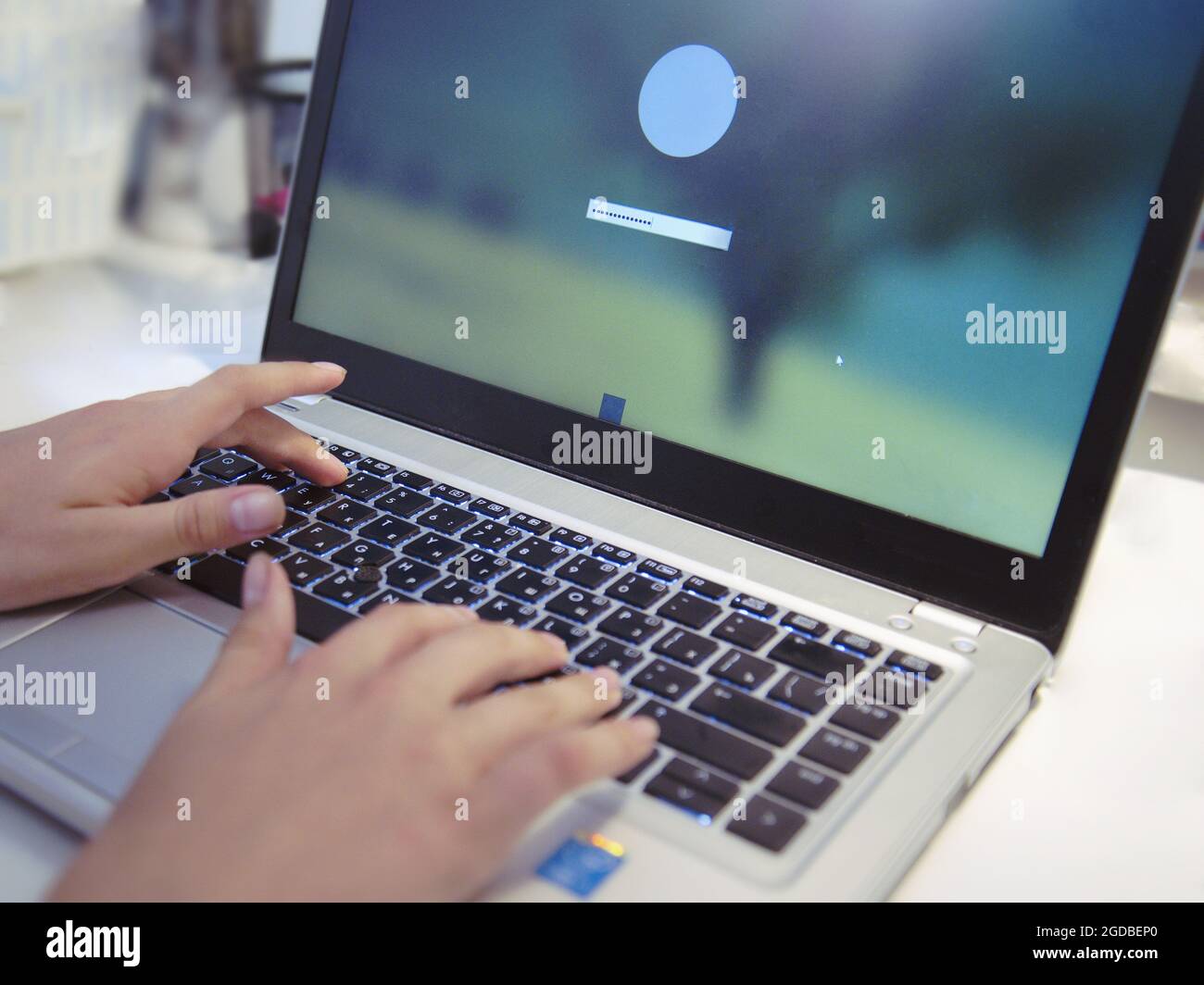 Female hands on a laptop keyboard, working at a table, close-up Stock ...