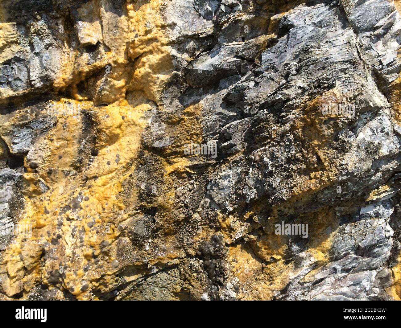 Background with yellow mold on the mountain or rock Stock Photo - Alamy