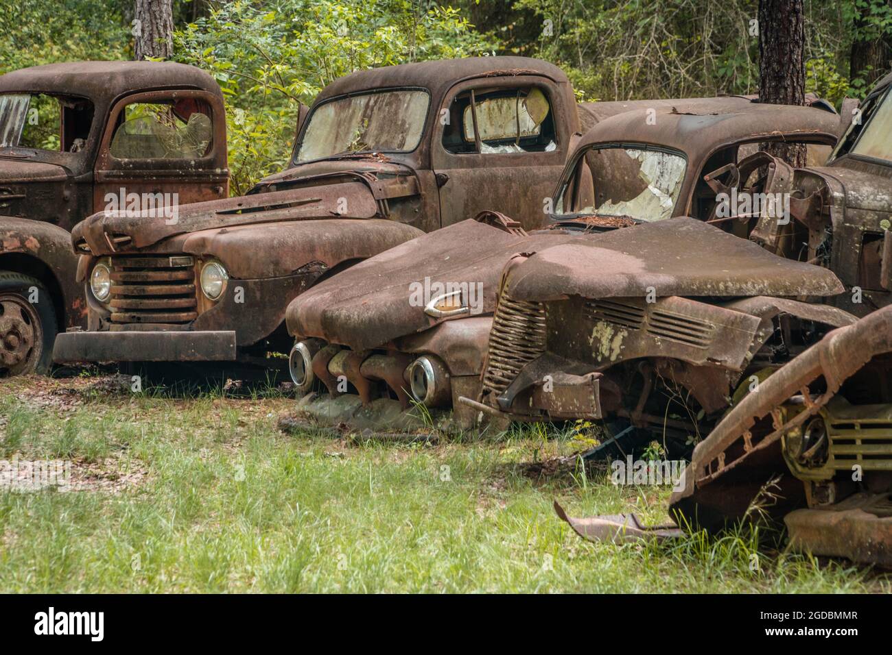 Old rusted Ford pickup trucks Stock Photo - Alamy
