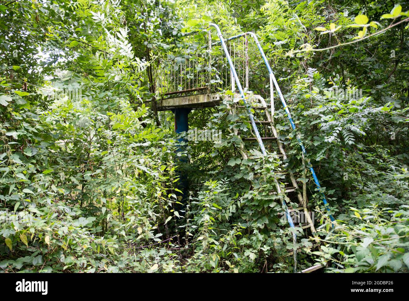 old rusted diving board Stock Photo - Alamy