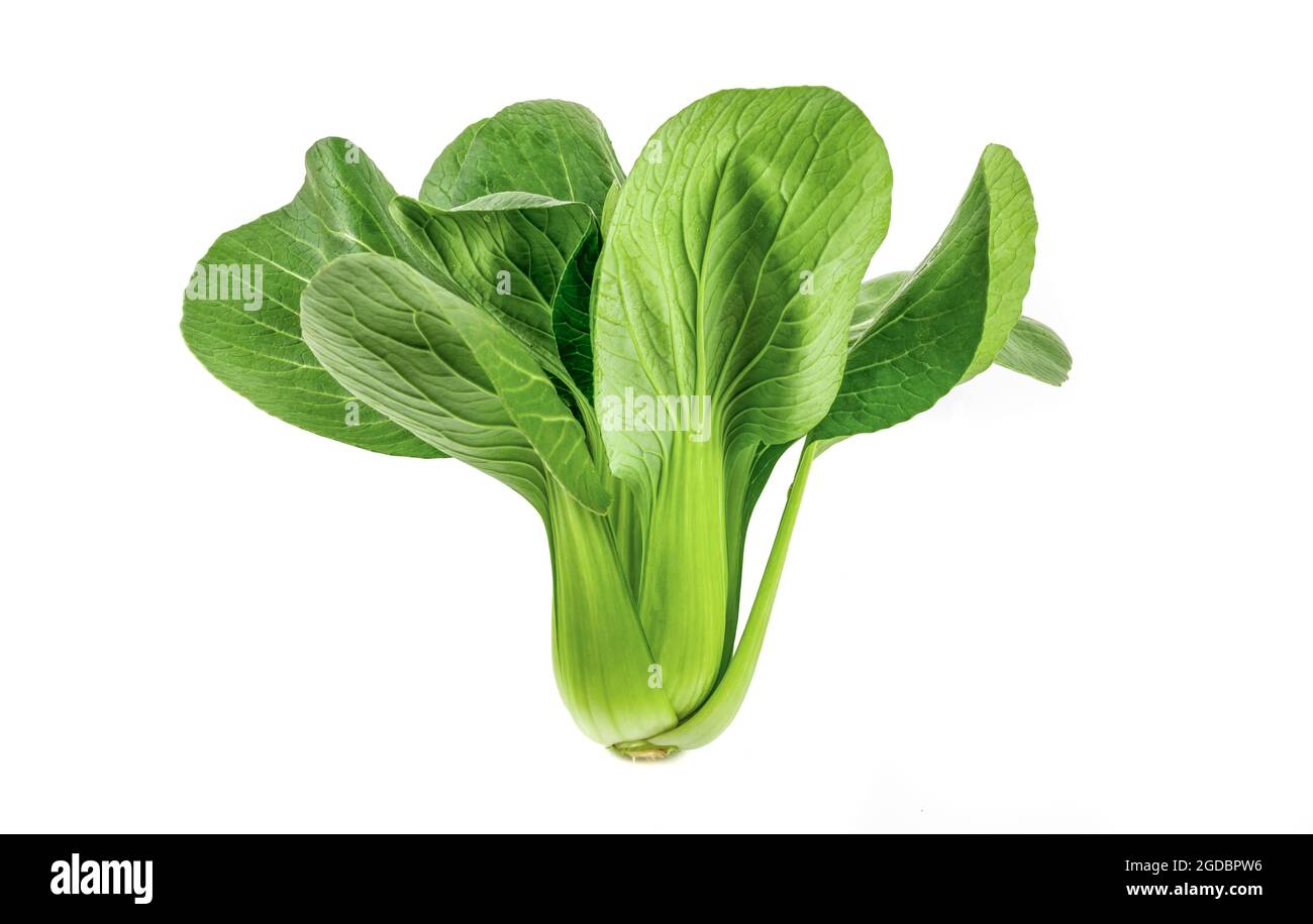 Isolated pak choy. Pak choy on white background Stock Photo - Alamy