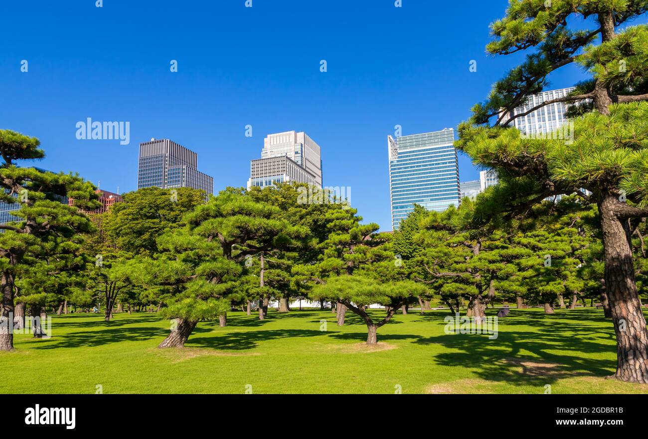 Tokyo 2021 during the Summer Olympic games Stock Photo - Alamy
