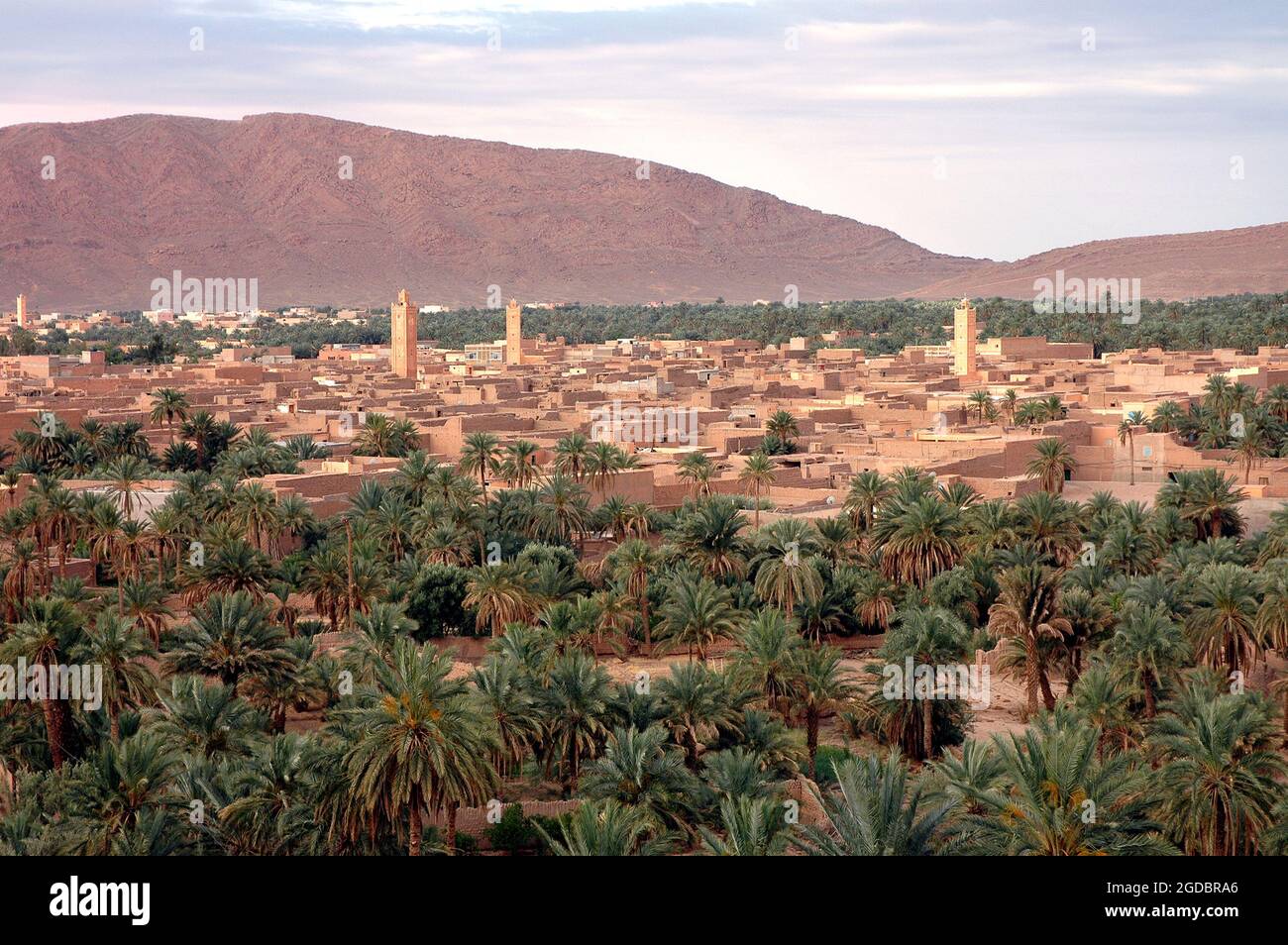 Palm grove of Figuig in south-eastern Morocco Stock Photo - Alamy