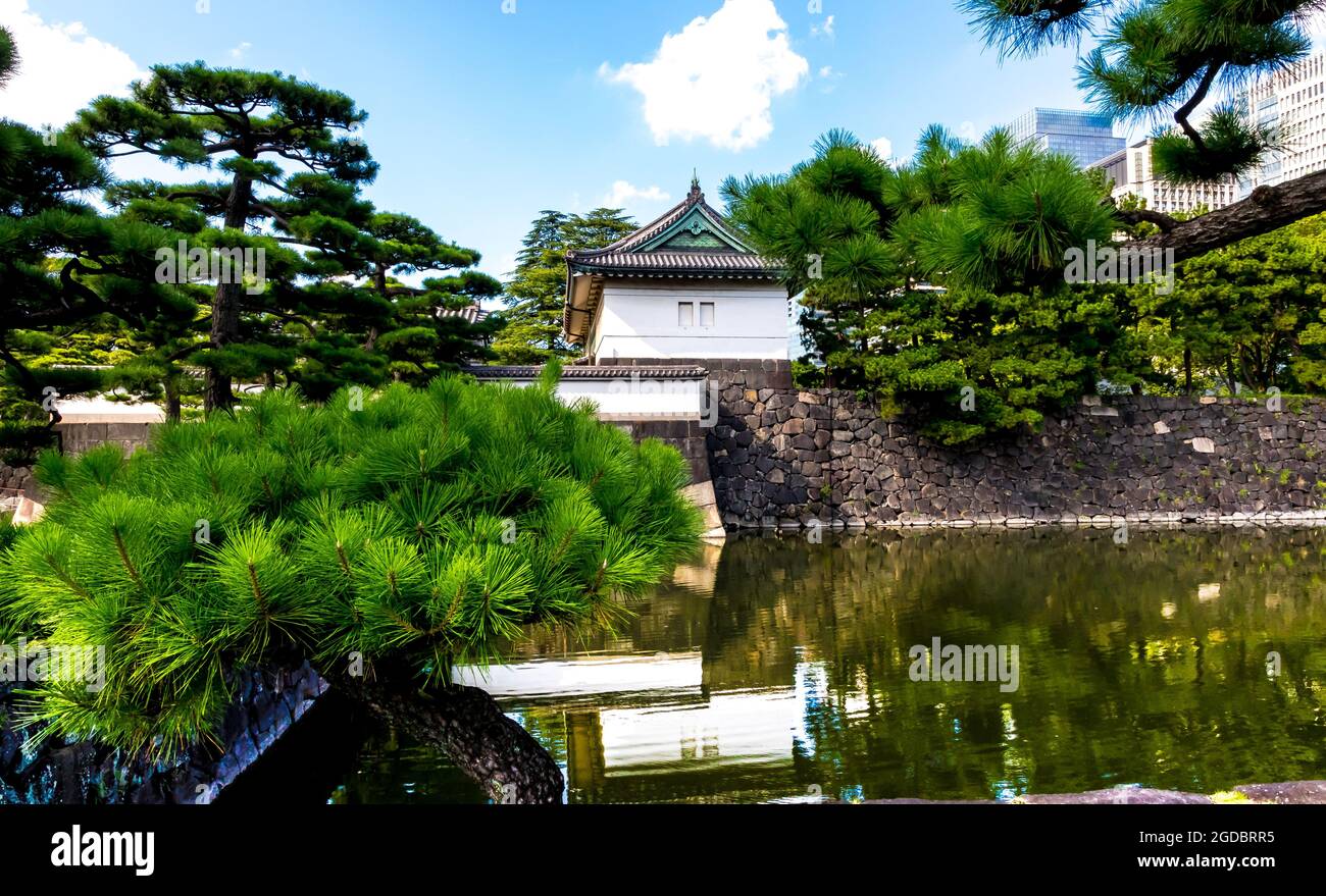 Tokyo 2021 during the Summer Olympic games Stock Photo - Alamy