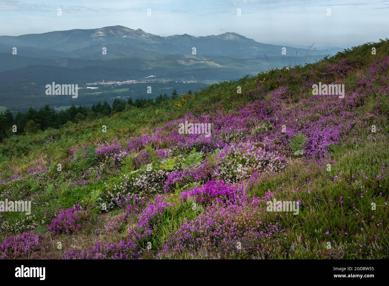 Basque country nature landscape hi-res stock photography and images - Alamy