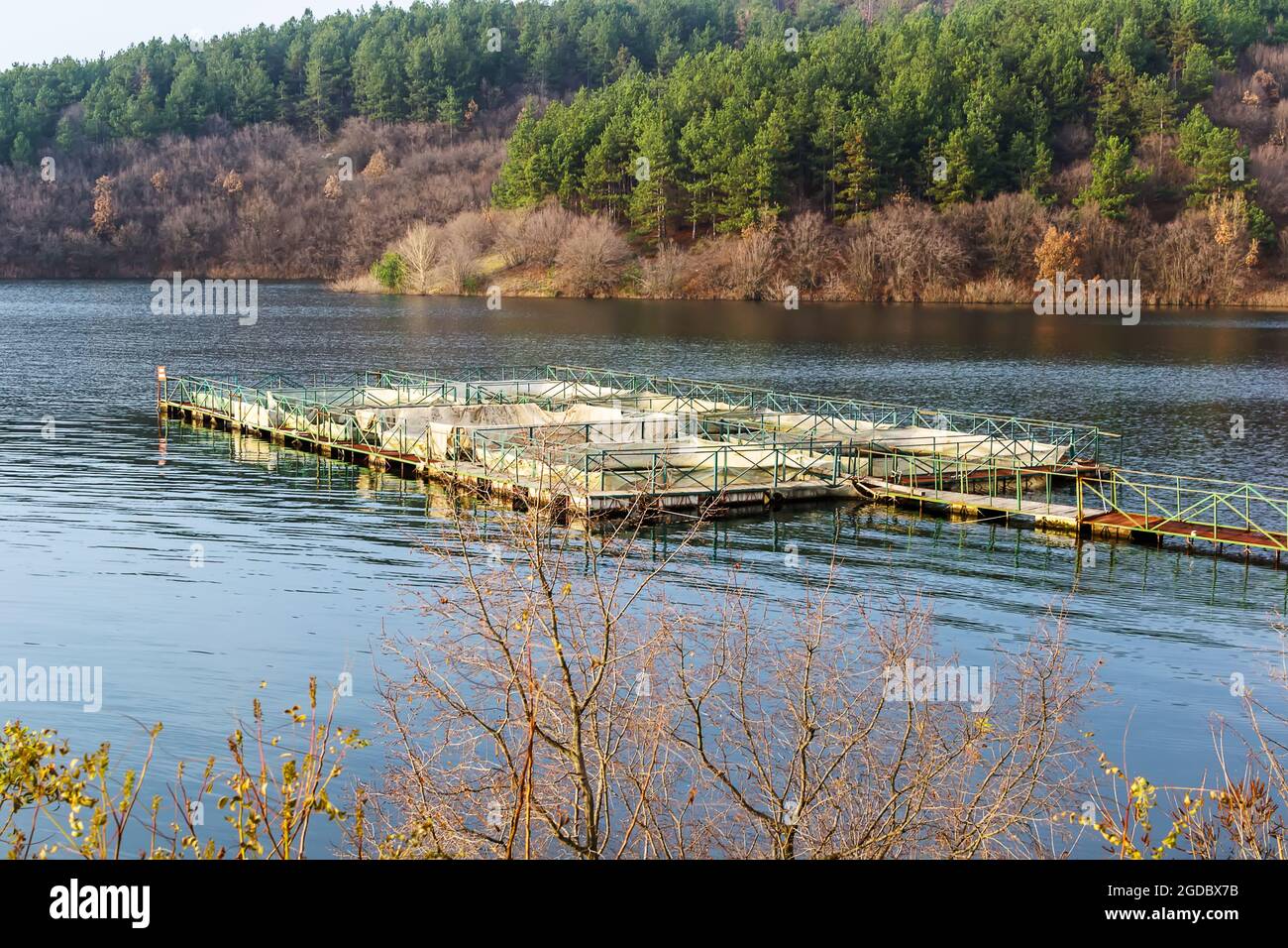 Fish breeding farm hi-res stock photography and images - Alamy