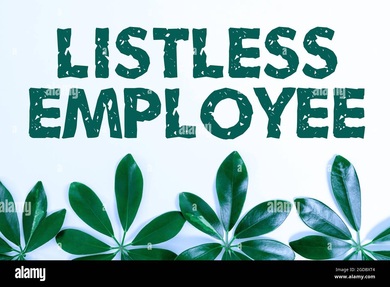 Overview no model hi-res stock photography and images - Alamy