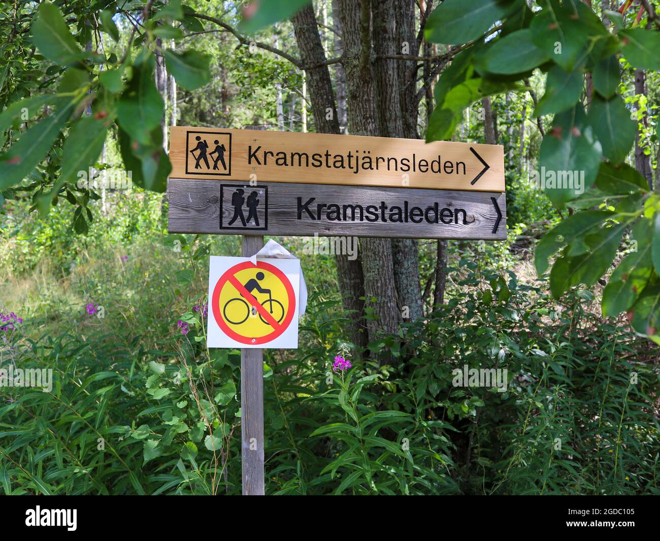 Directional sign tree hi-res stock photography and images - Alamy