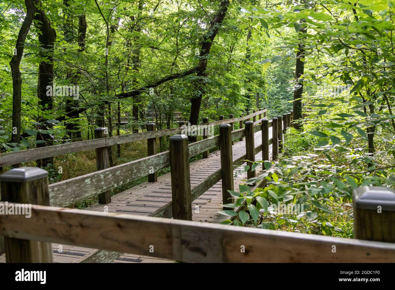 Diamond, Missouri - A one-mile walking trail at George Washington ...