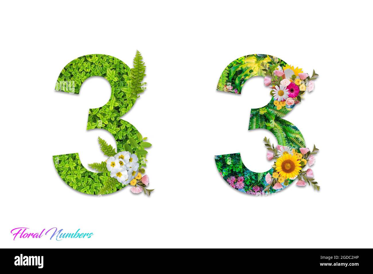 Handwritten Numbering High Resolution Stock Photography and Images - Alamy