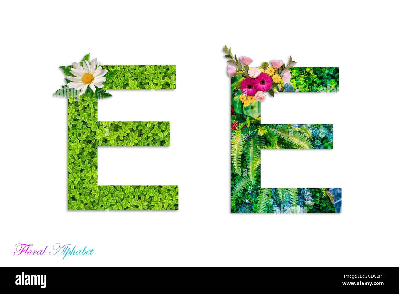 Alphabet In Nature High Resolution Stock Photography and Images - Alamy