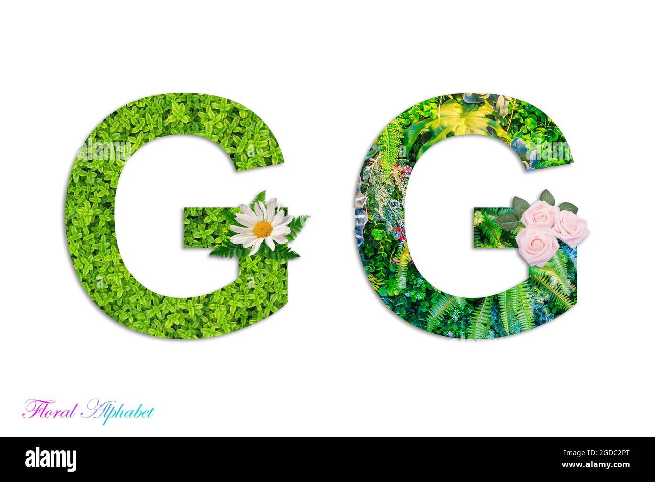 Floral Letters High Resolution Stock Photography and Images - Alamy