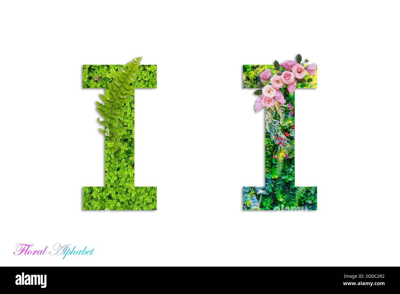 Grass Font Type High Resolution Stock Photography and Images - Alamy
