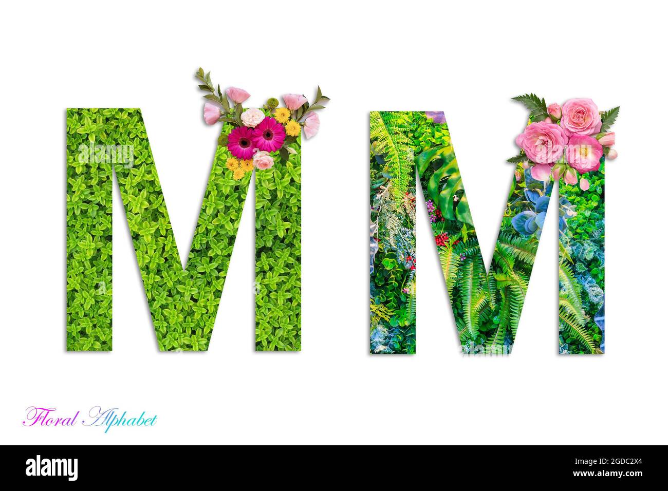 Grass Font Type High Resolution Stock Photography and Images - Alamy