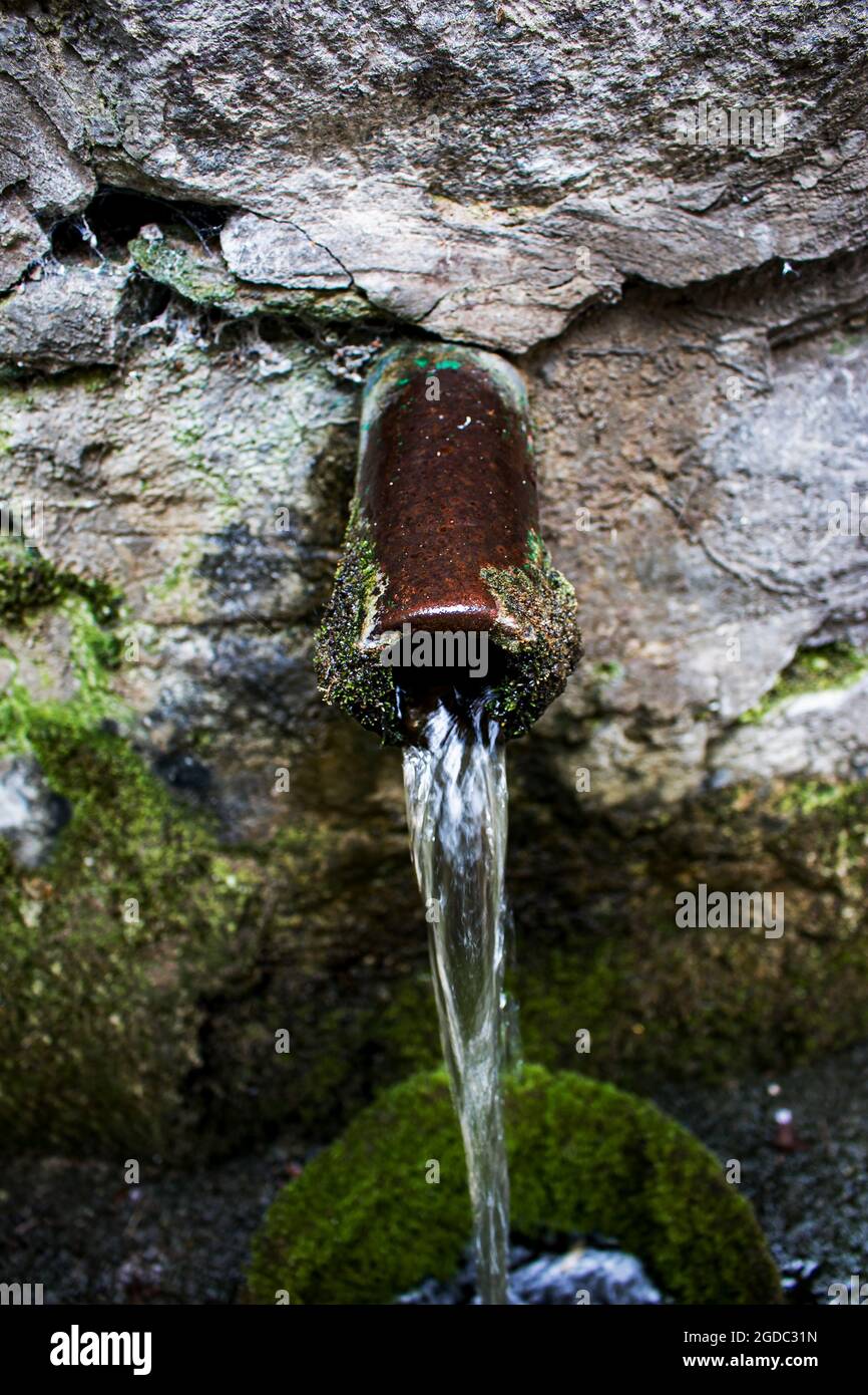 Water from a forest spring flows through a metal pipe lined with stones ...