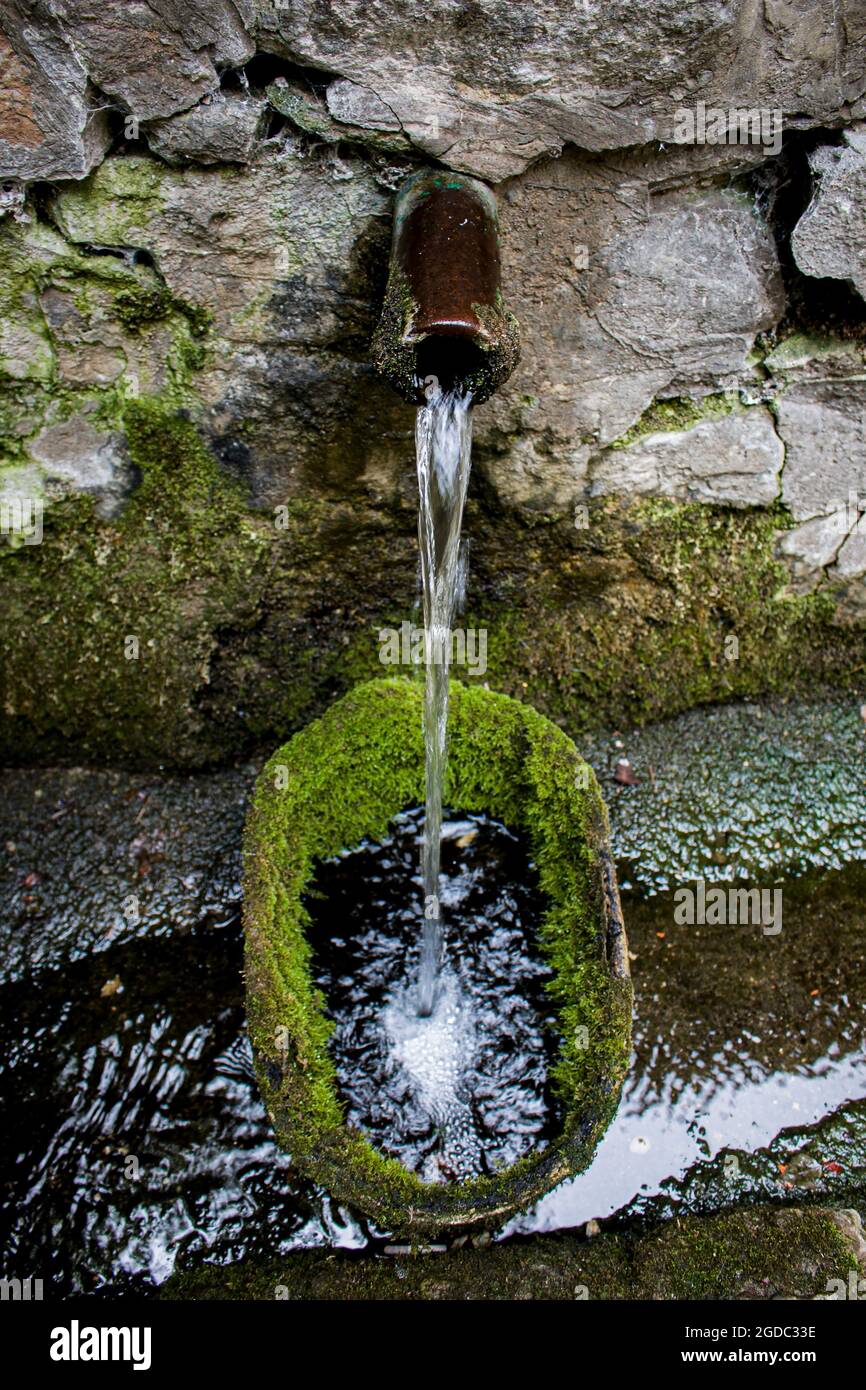 Water from a forest spring flows through a metal pipe lined with stones ...