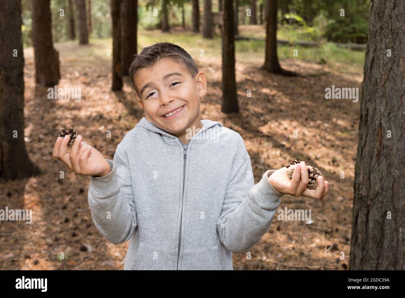 Little boy looking hold pine cone Stock Photo - Alamy