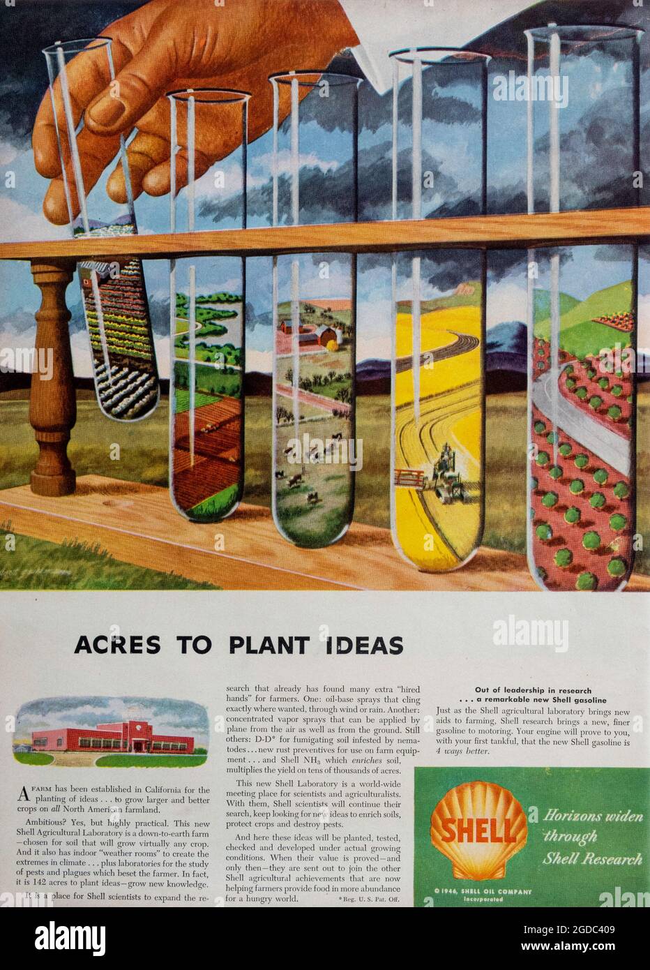 Magazine Advertising Ideas