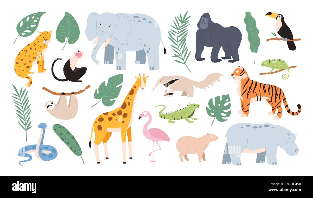 Flat tropical animals from african savannah and jungle forest. Cartoon ...