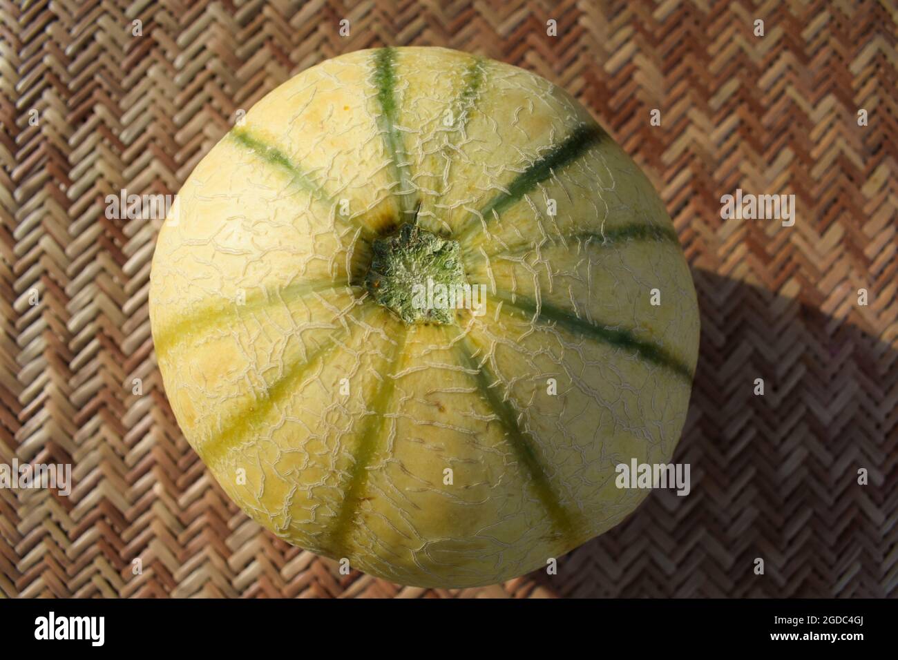 Indian melon farming hi-res stock photography and images - Alamy