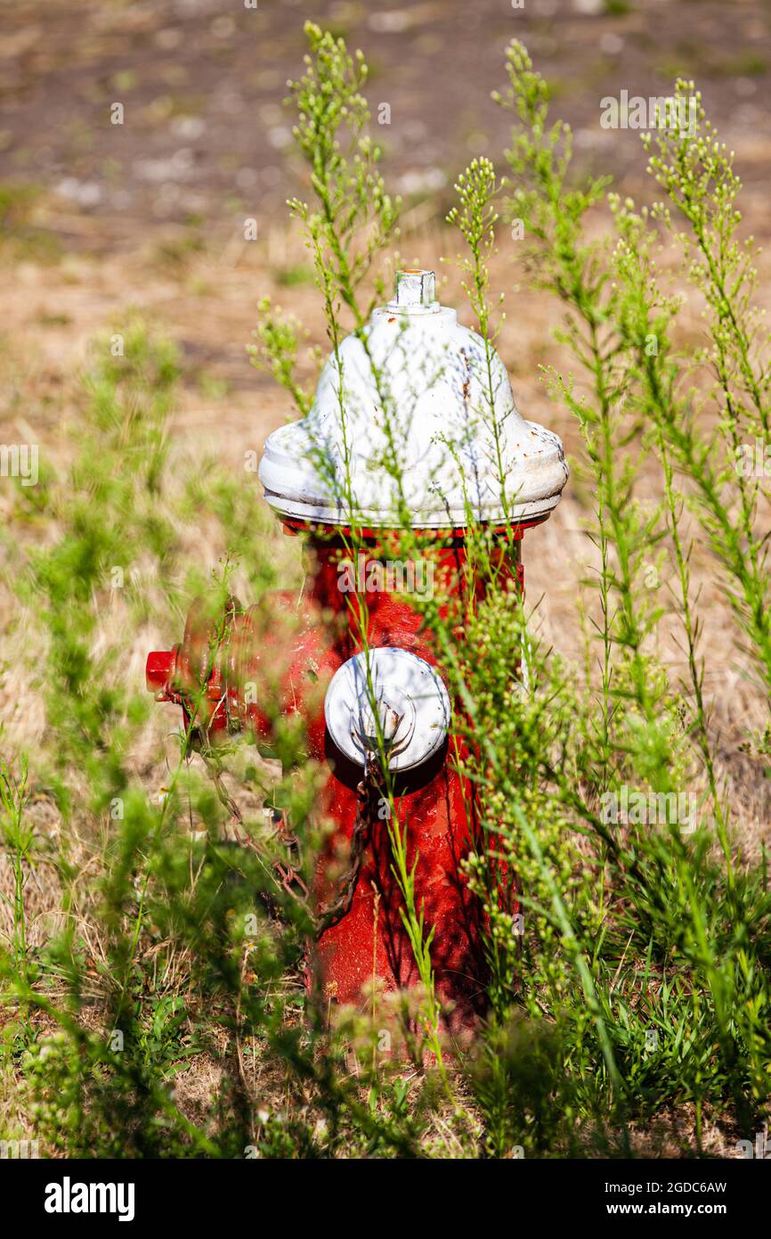 Water stand pipe fire hydrant hi-res stock photography and images - Alamy