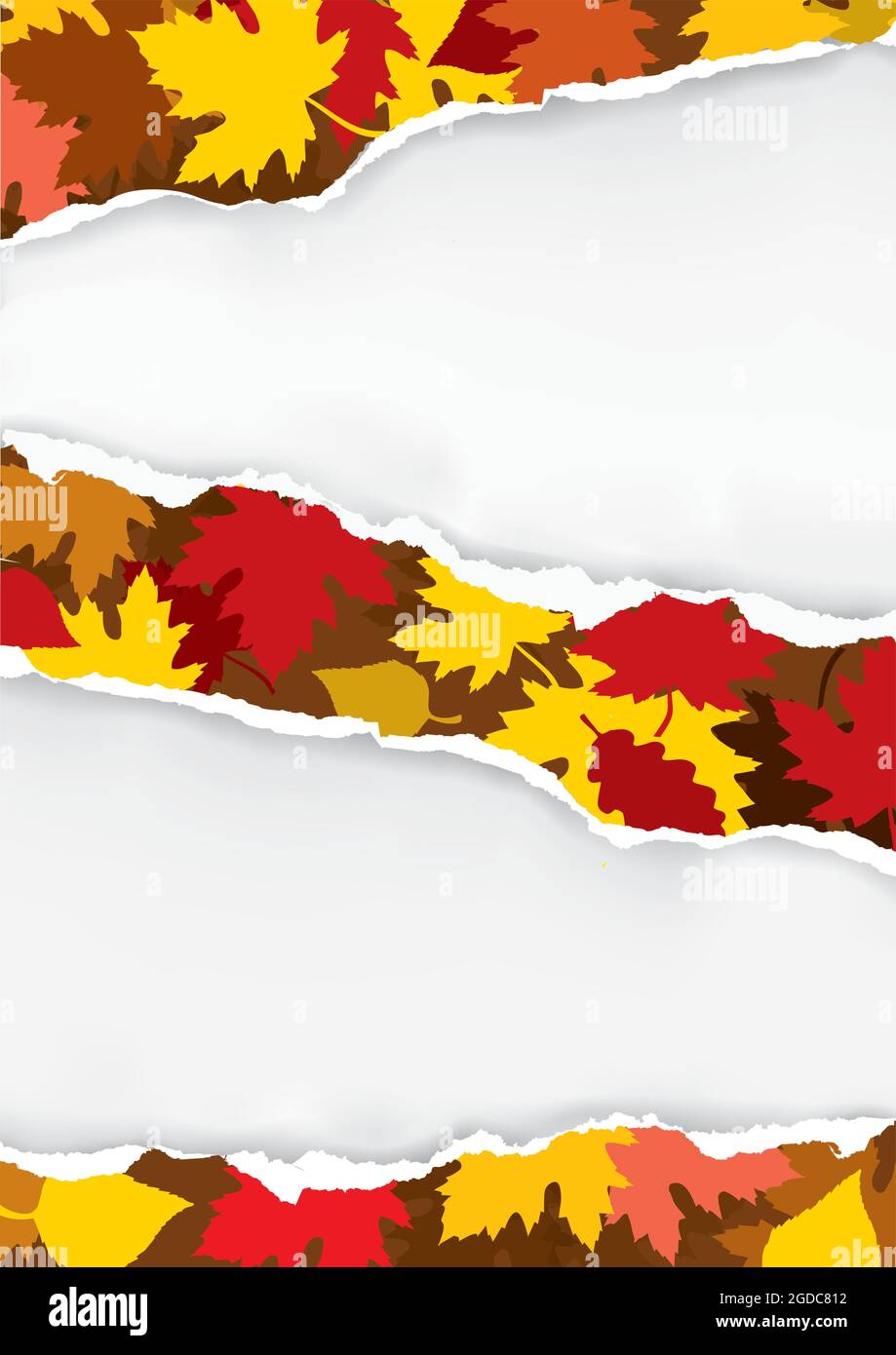 Ripped paper with autumn leaves. Illustration of torn paper with autumn ...