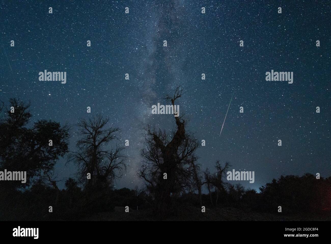 People set up equipment to capture the Perseid meteor shower among the ...