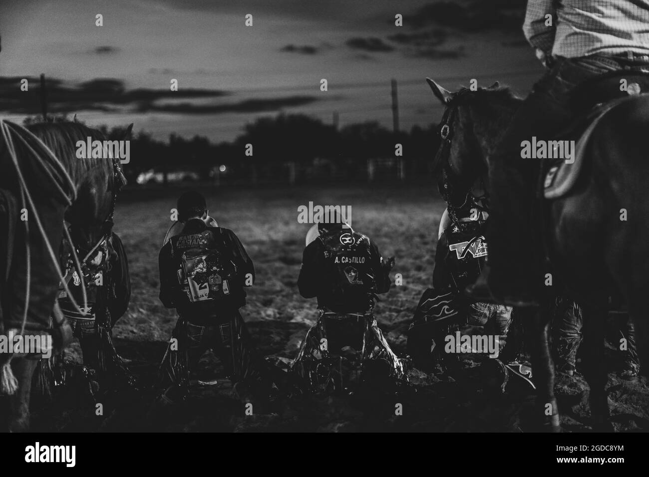 Cowboys, during the rodeo circuit in the new arena El Shejon with the ...