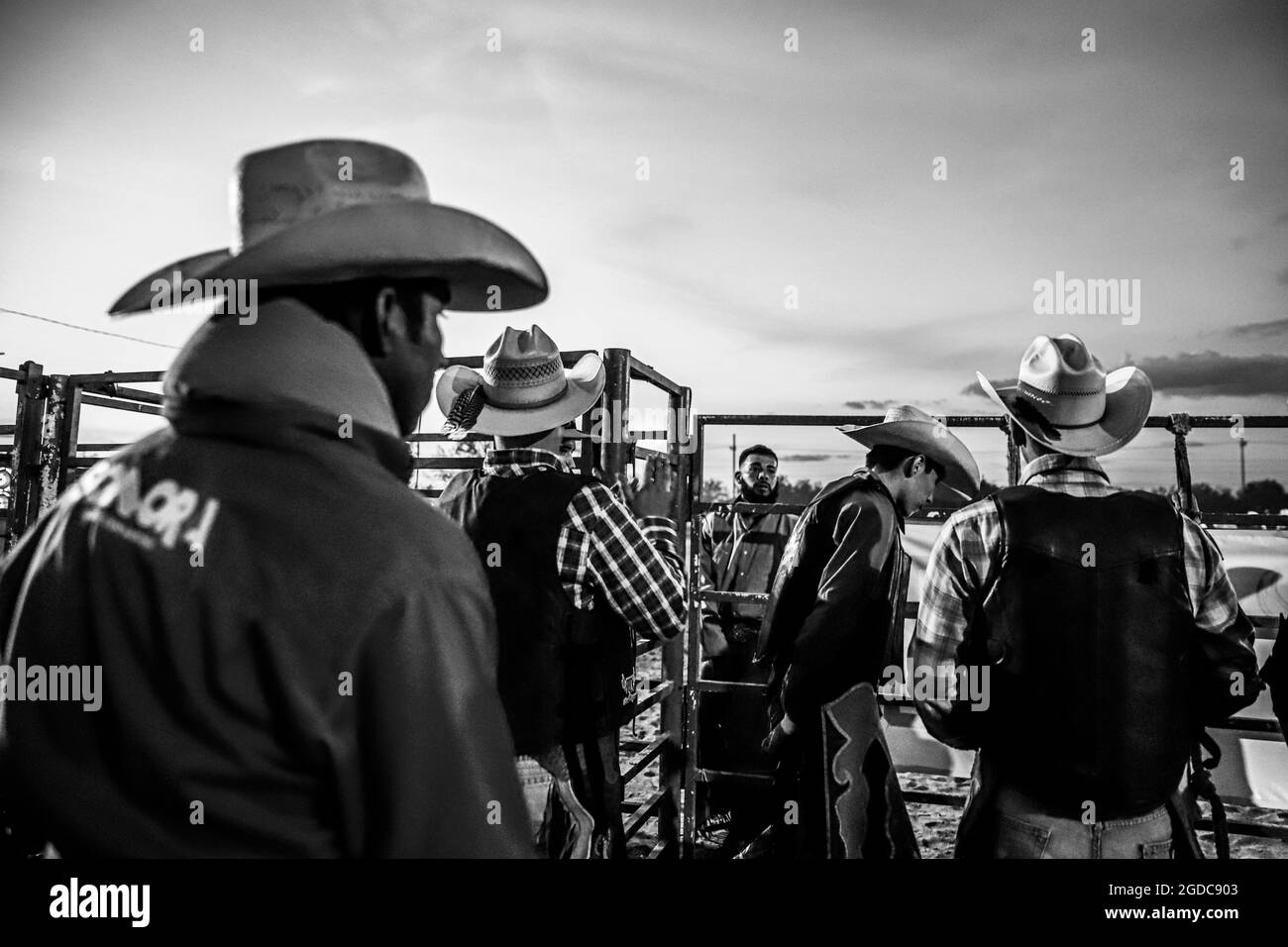 Bull rider mexico Black and White Stock Photos & Images - Alamy