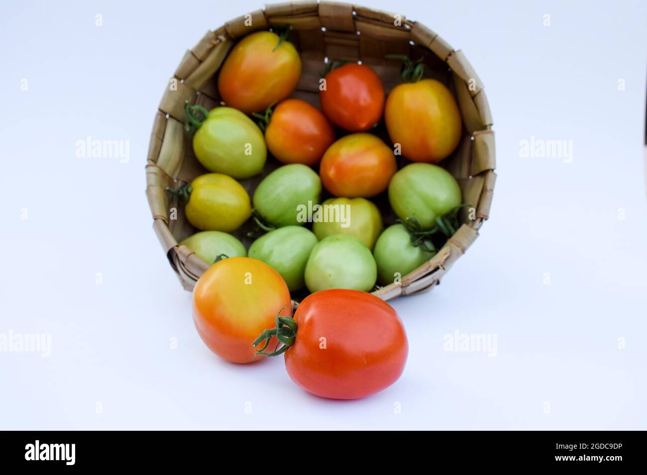Different coloured tomatoes hi-res stock photography and images - Alamy