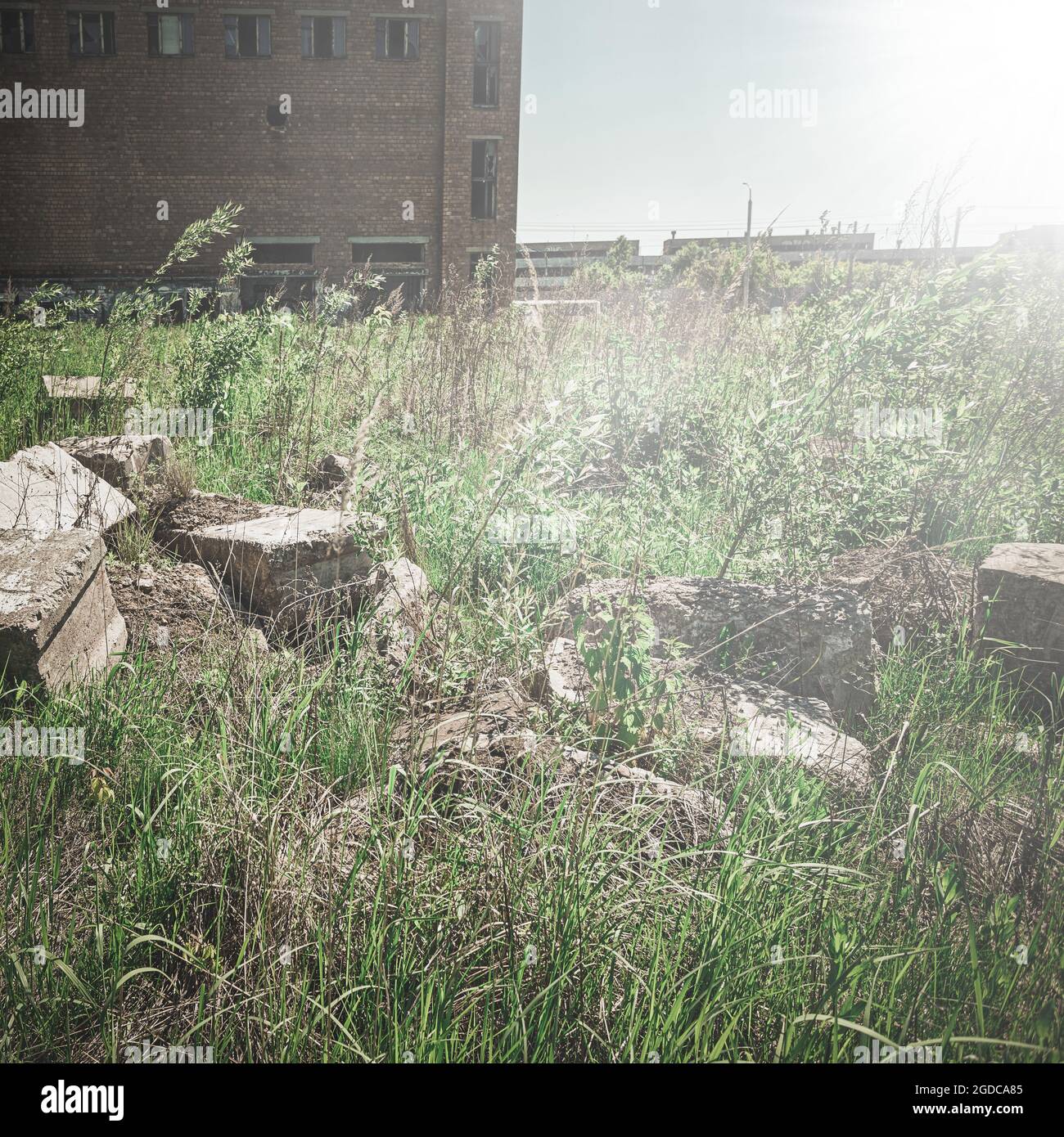 Pieces of destroyed concrete blocks on top of green grass and an ...
