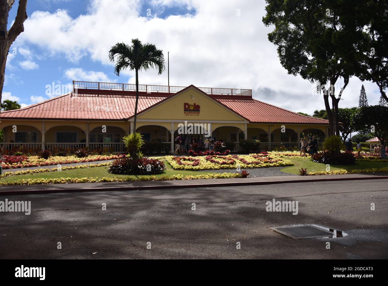 Pineapple Maze Hawaii