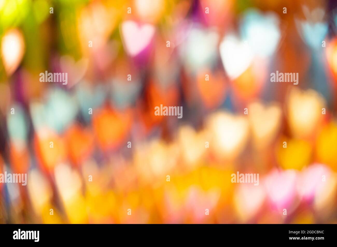 Colorful background with blurred heart lights Stock Photo - Alamy