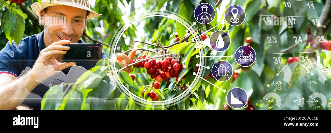 Smart Farming Digital Technology Agriculture App At Farm Stock Photo ...