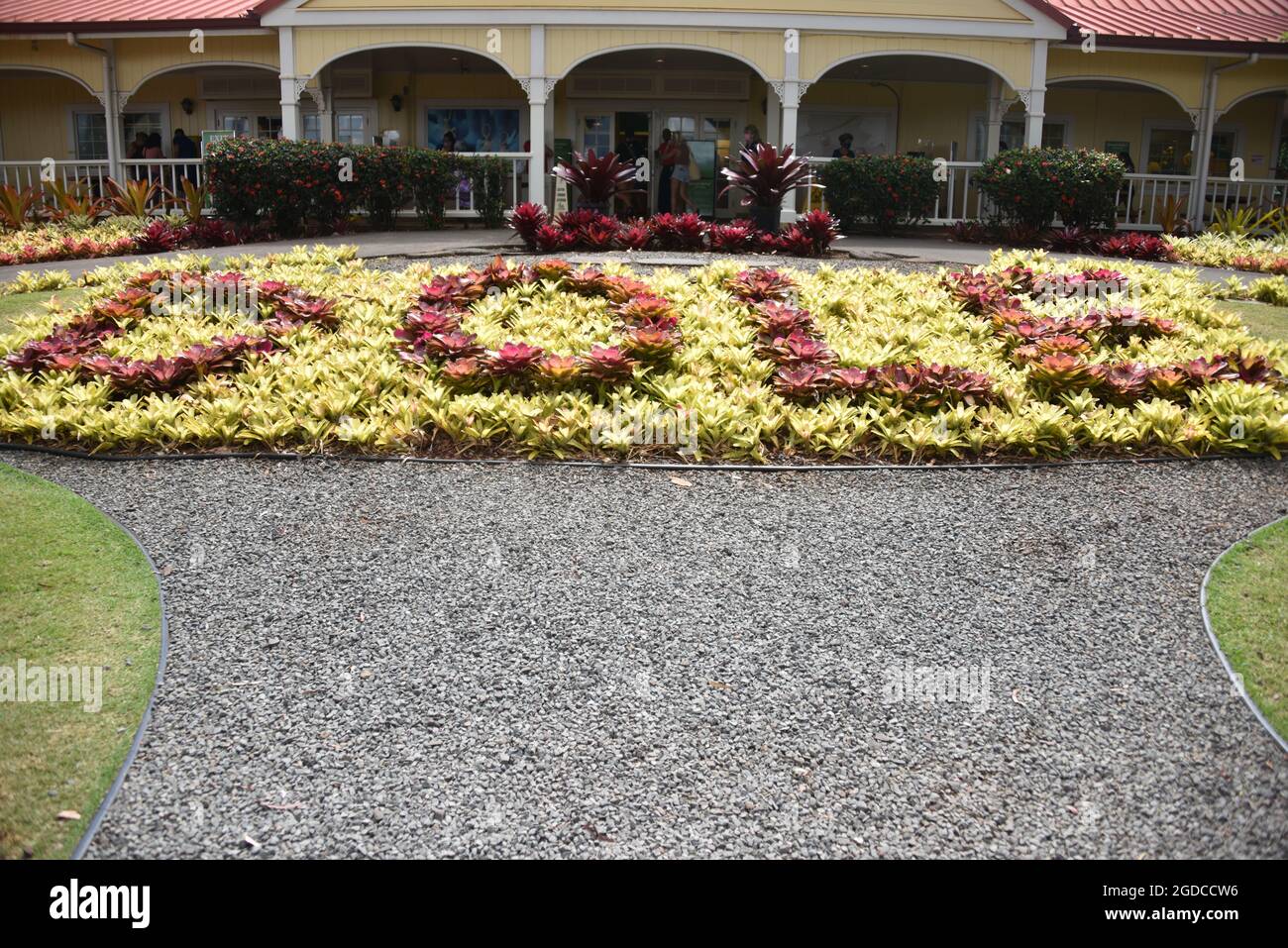 Dole plantation pineapple garden maze hi-res stock photography and ...