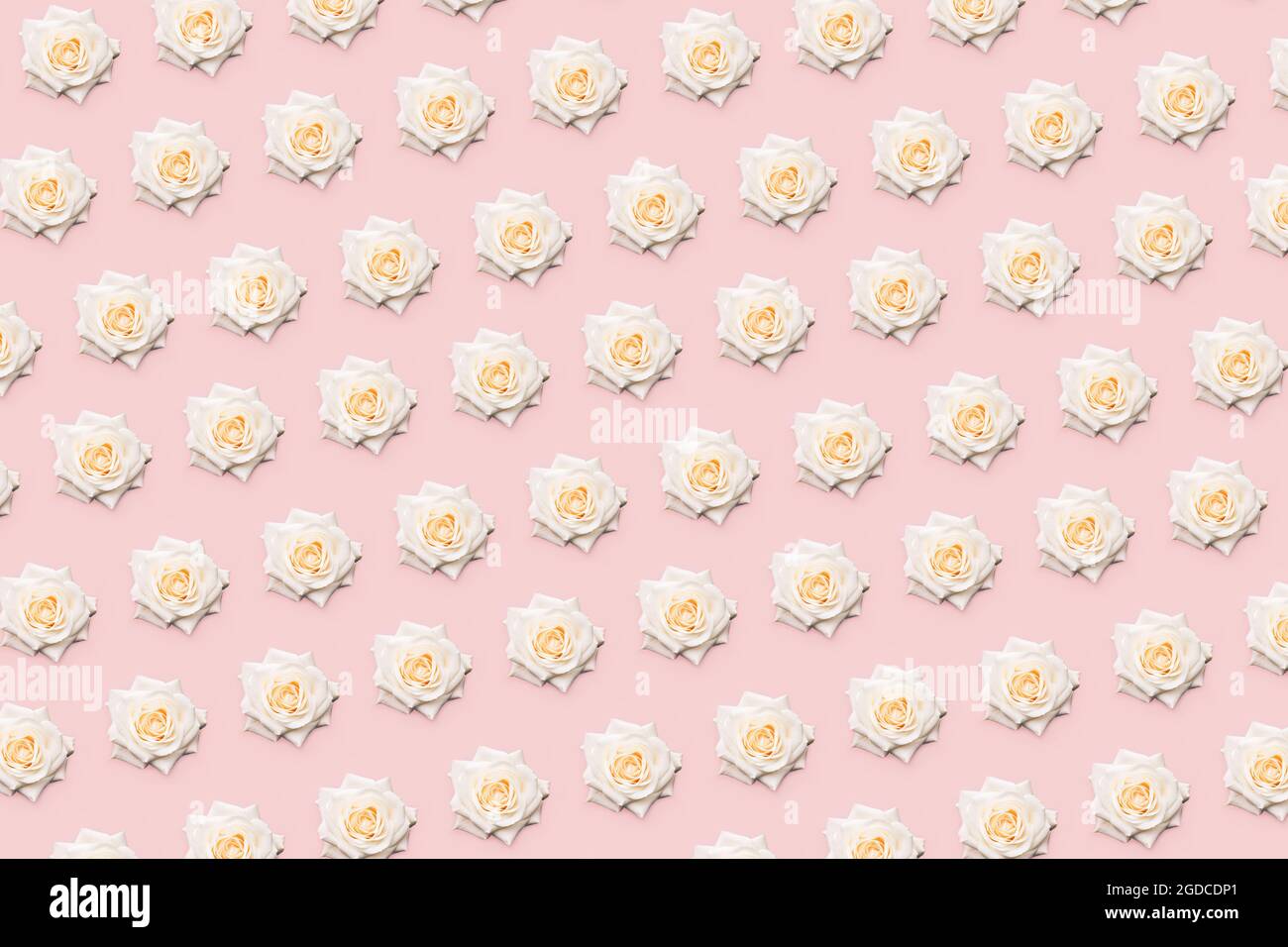 Floral white rose pattern Stock Photo - Alamy
