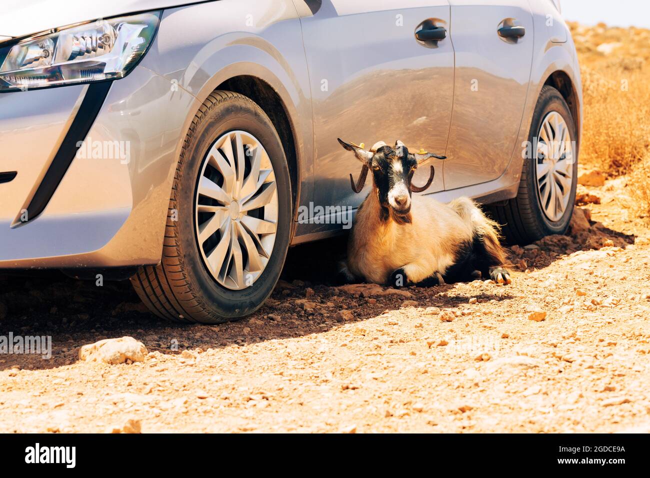 Goat rock road hi-res stock photography and images - Alamy